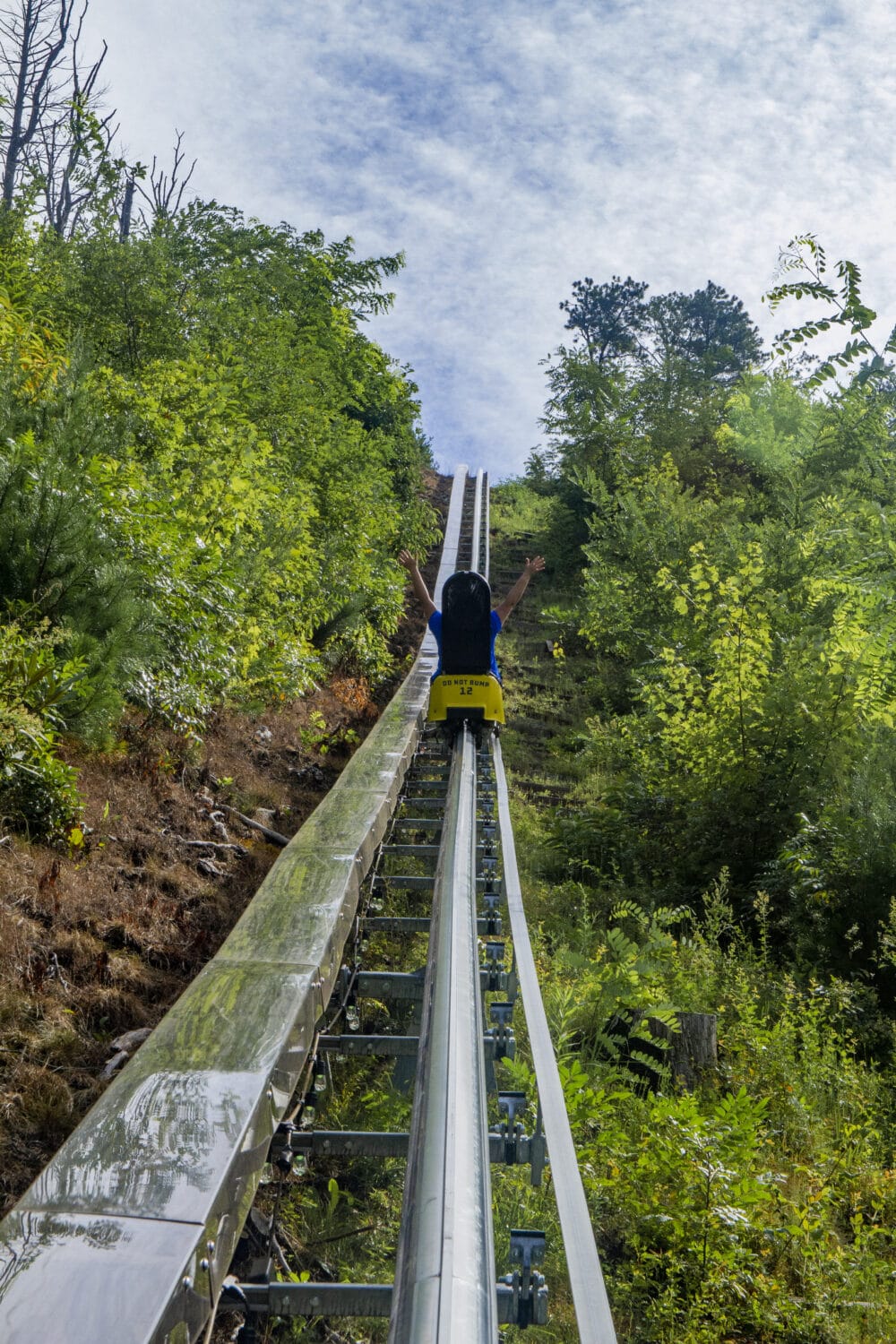 What Is a Mountain Coaster? Key Differences from Roller Coasters ...